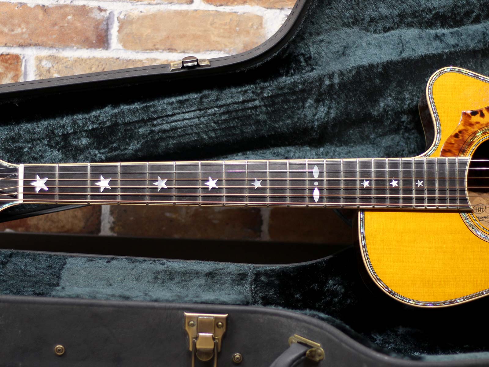 TSK No.8 Tortoise Shell Pickguard -Not Aged-